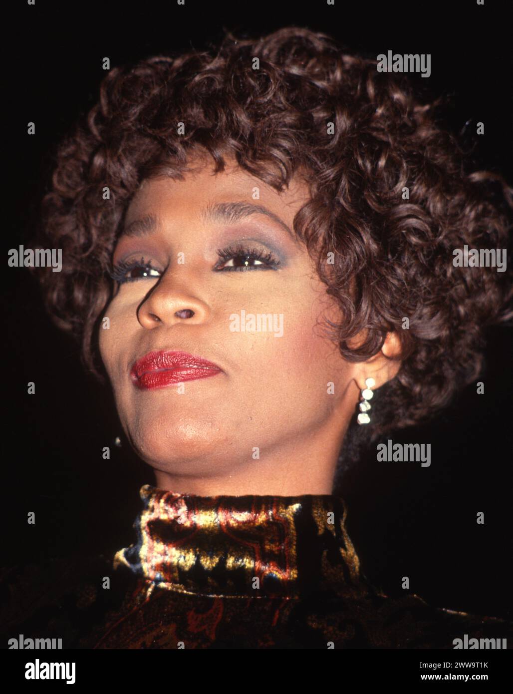 Whitney houston 1991 hi-res stock photography and images - Alamy