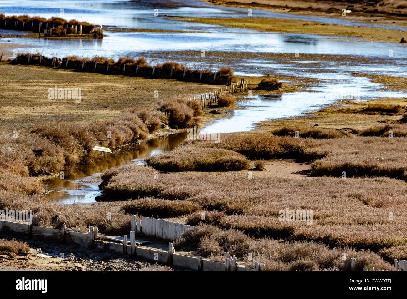 meadows by the pool with shallow sea for salt production Stock Photo ...