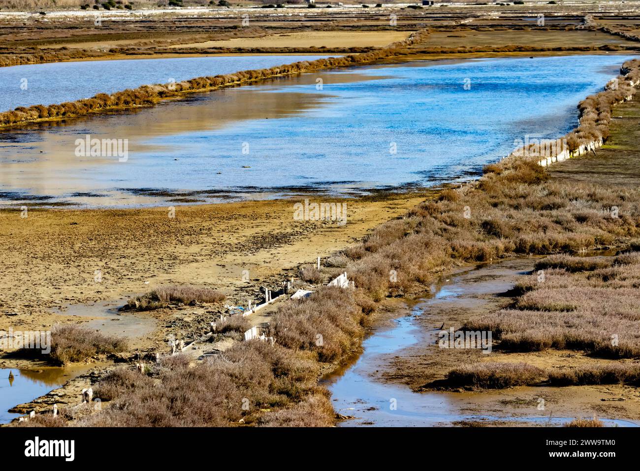 meadows by the pool with shallow sea for salt production Stock Photo ...