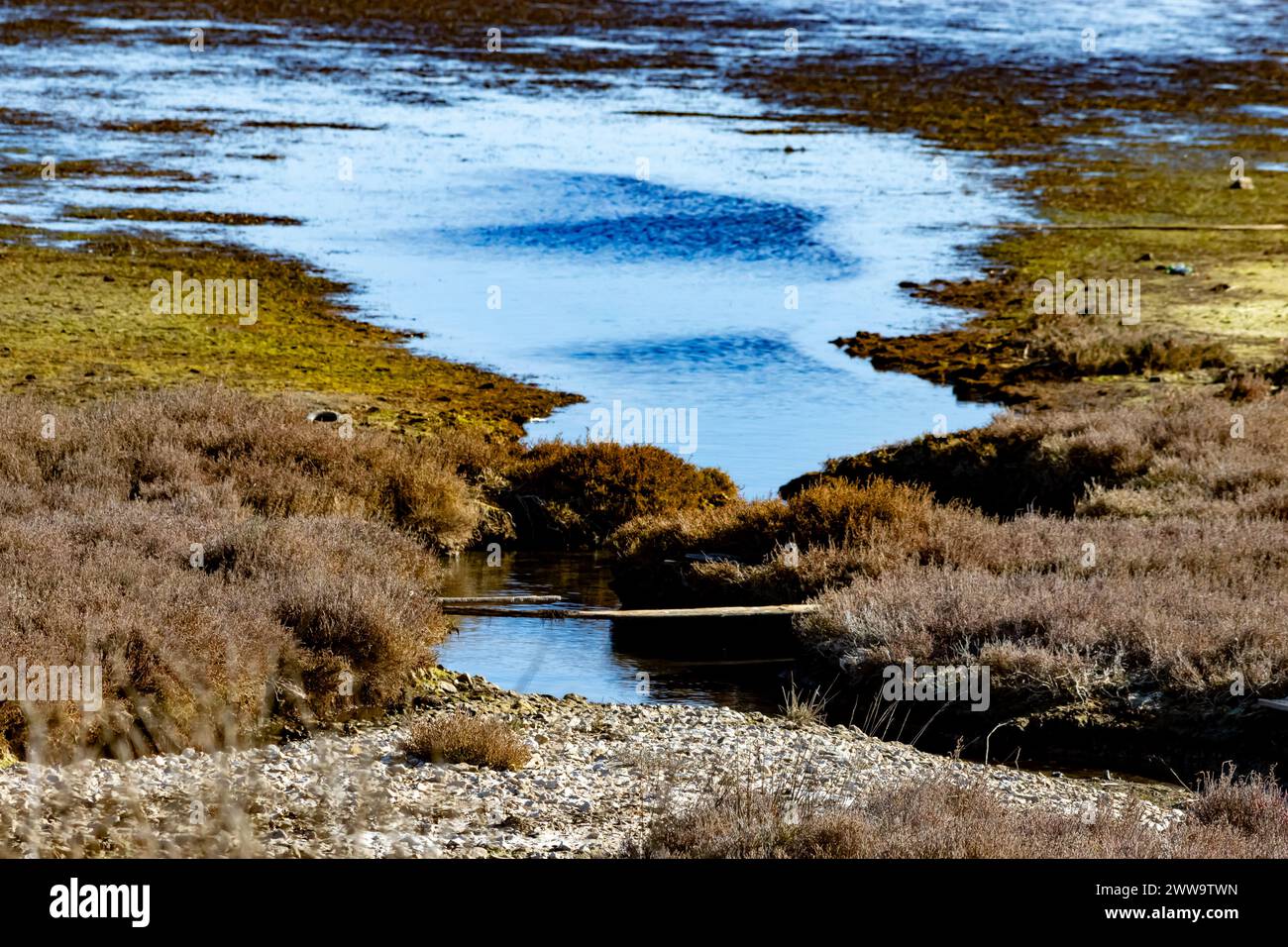 Puddles in green field hi-res stock photography and images - Alamy
