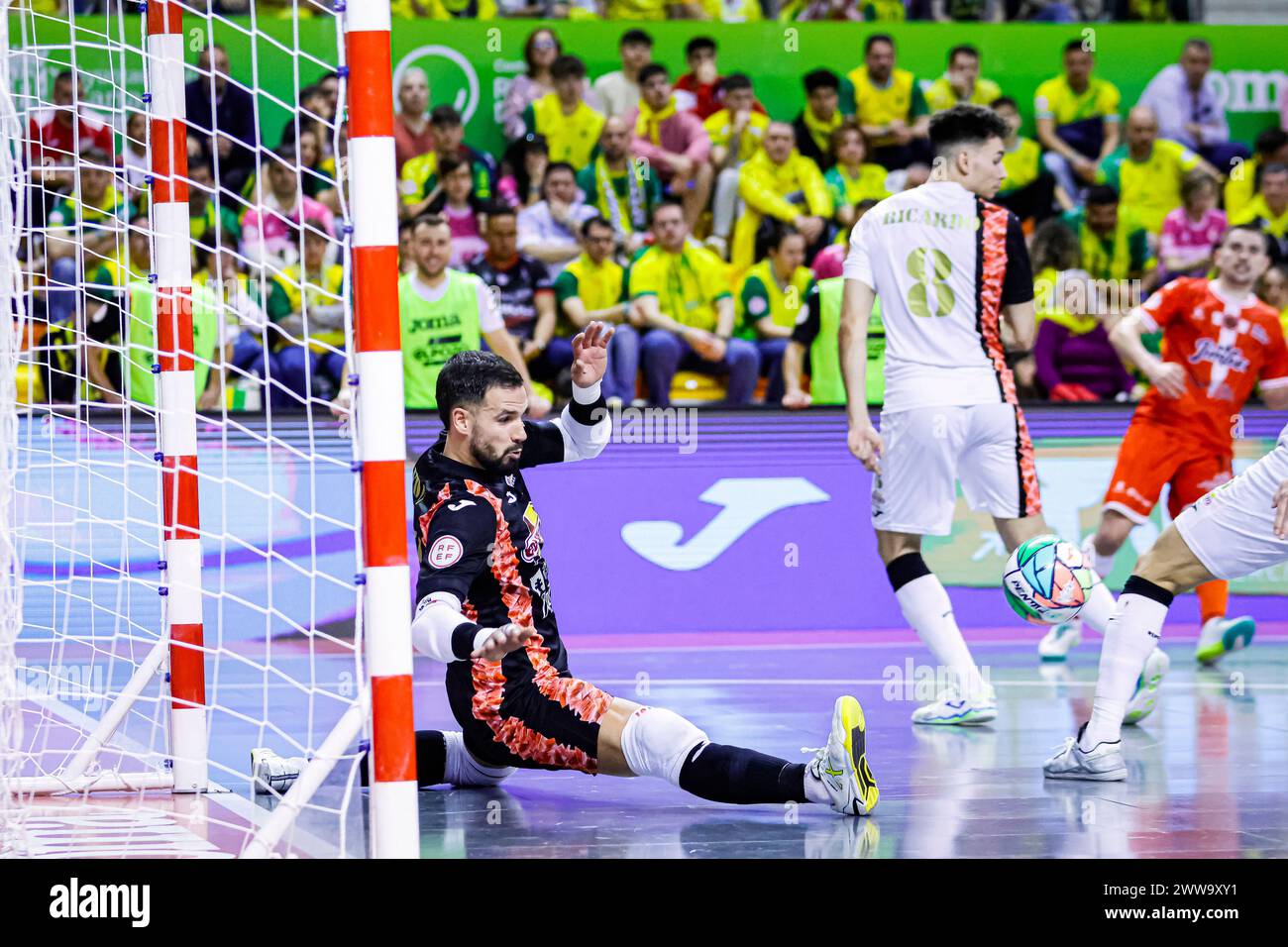 Jimbee cartagena hi-res stock photography and images - Alamy