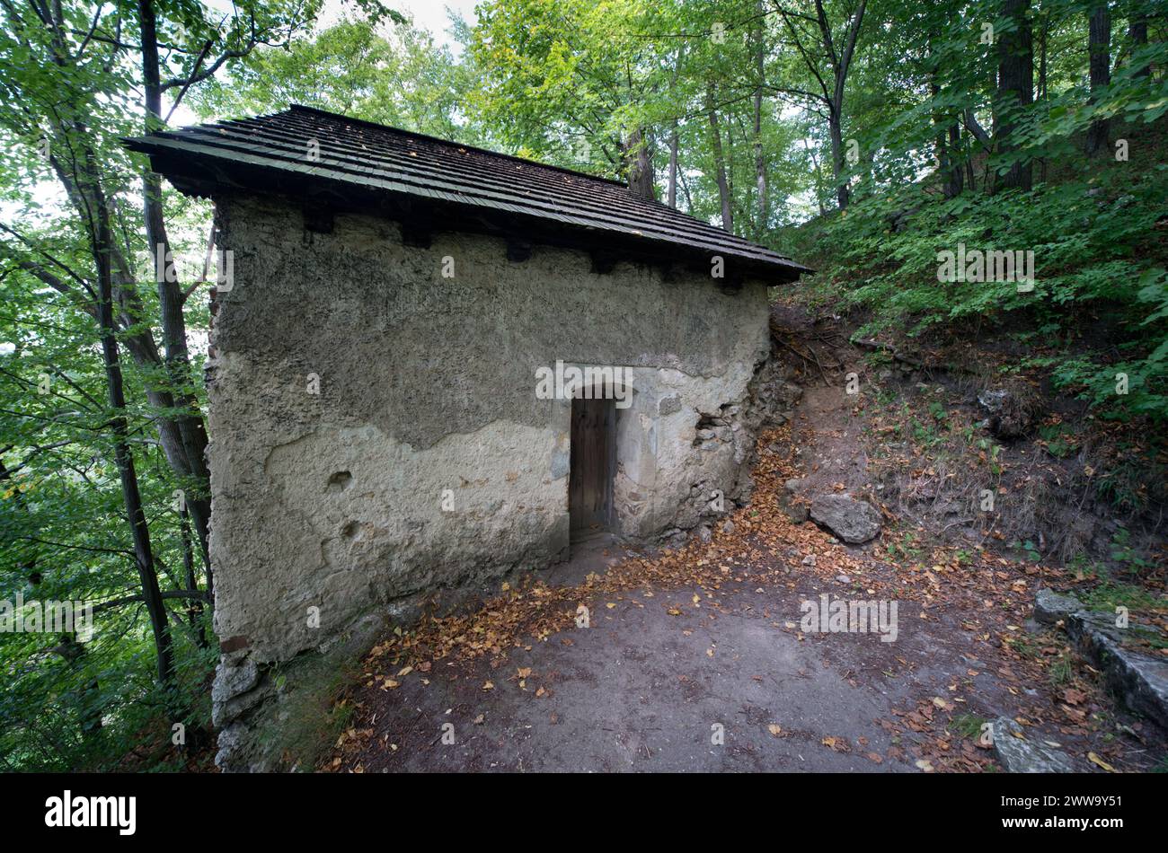 Salomea hermitage hi-res stock photography and images - Alamy