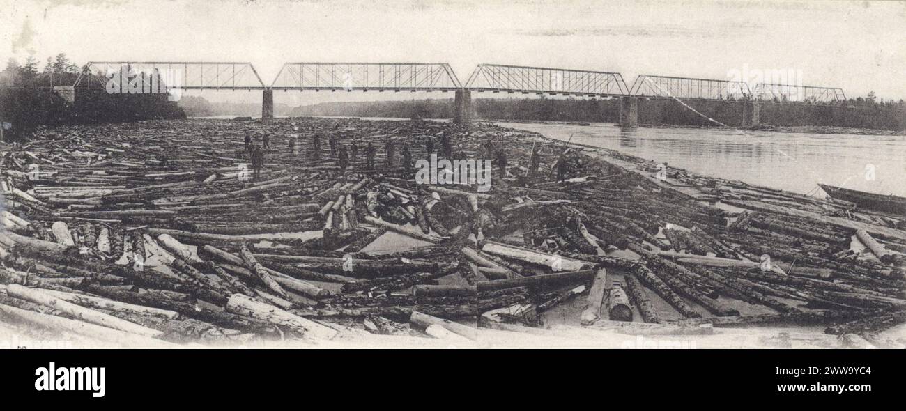 Vintage Logging Photography. Log drivers riding Saw logs on the St ...