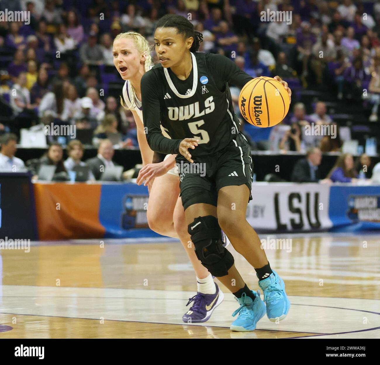 Hailey van lith hi-res stock photography and images - Alamy