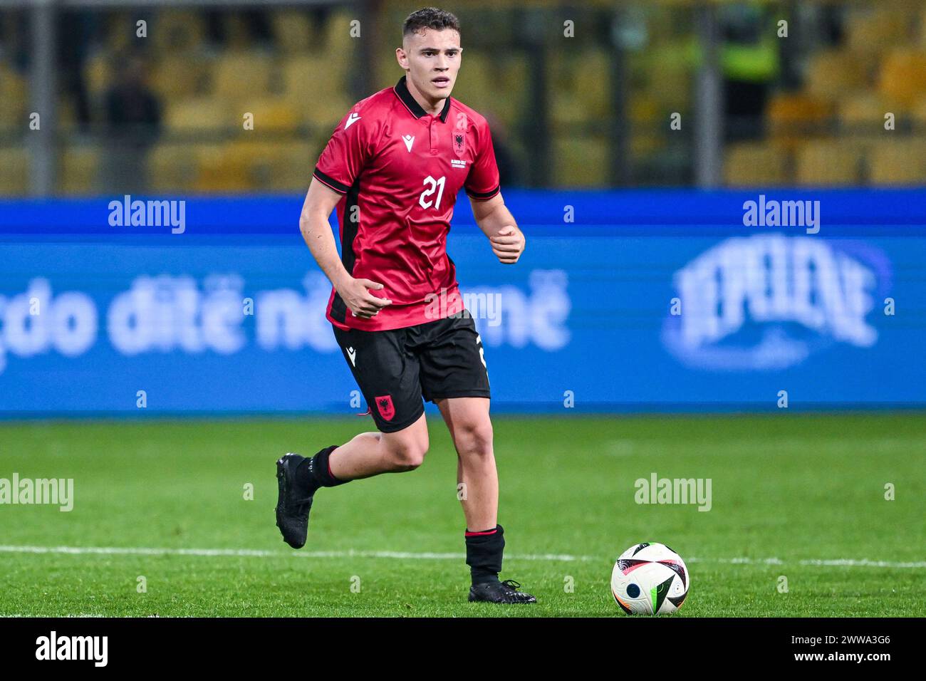 Tardinistaium hi-res stock photography and images - Alamy