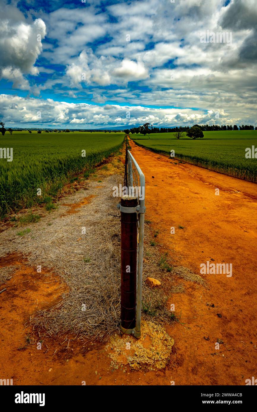 A red dirt path lines a lush field, leading the eye toward a striking ...