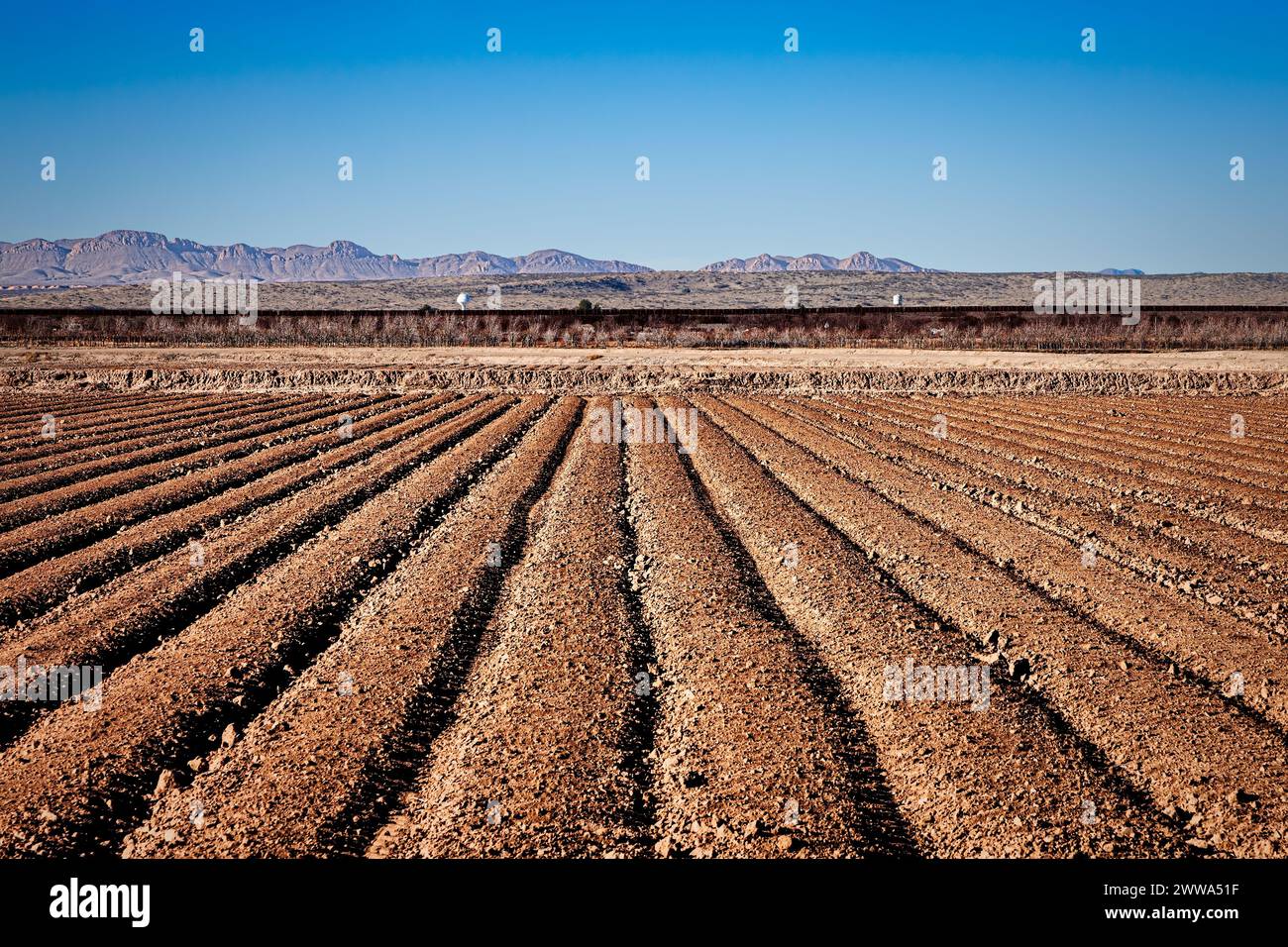 Farmland on the US-Mexico border wall near Fabens, Texas Stock Photo ...