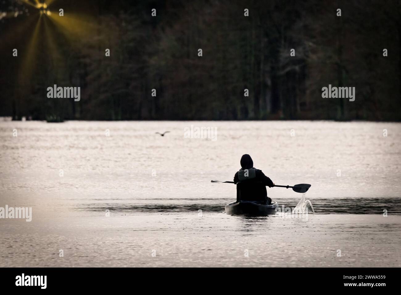 A kayaker paddles on Stumpy Lake near Virginia Beach, Virginia Stock ...