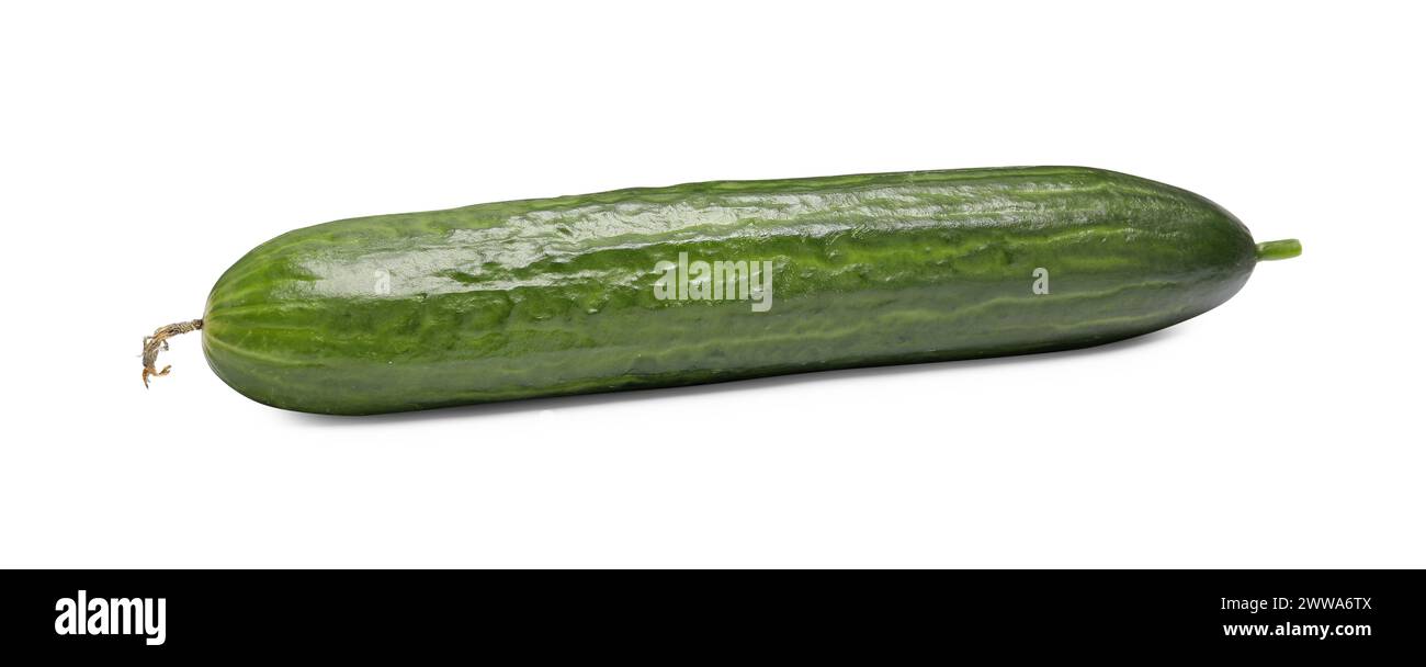 One long fresh cucumber isolated on white Stock Photo - Alamy