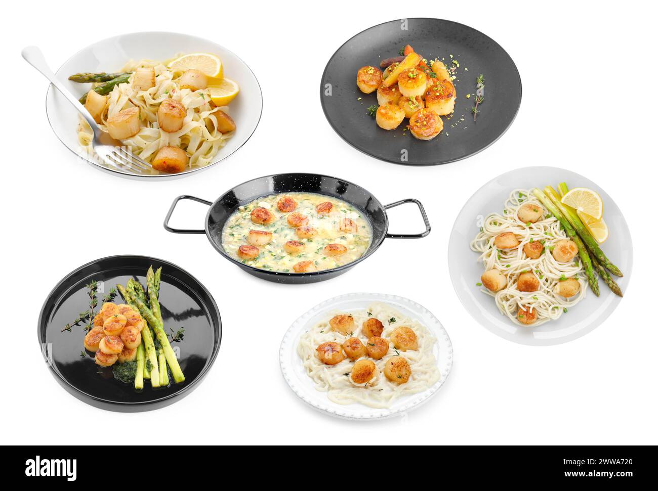 Set of different dishes with scallops isolated on white Stock Photo - Alamy