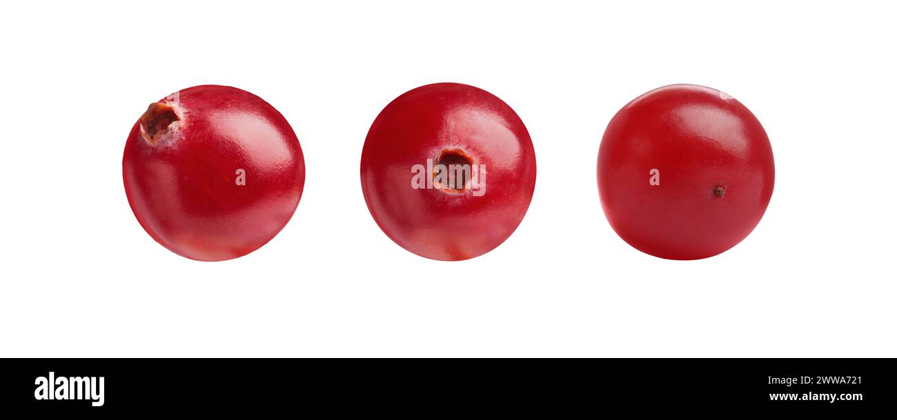 Set of fresh ripe cranberries isolated on white Stock Photo - Alamy