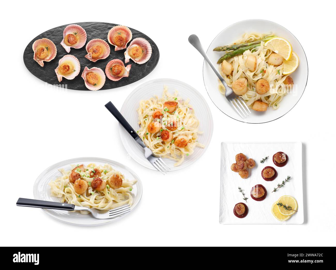 Set of different dishes with scallops isolated on white, top view Stock ...