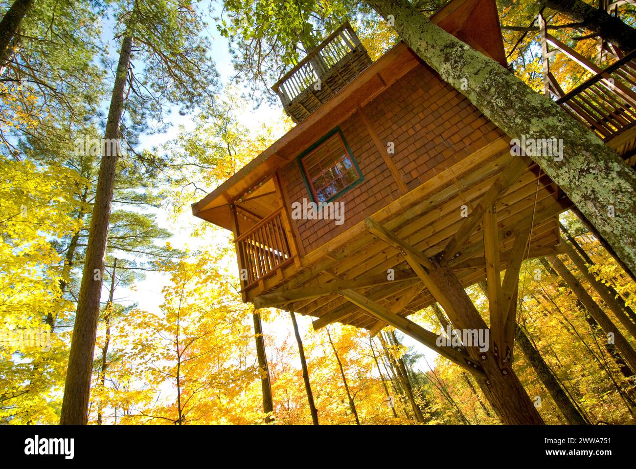 treehouse in forest - Stone Lake, Minnesota - USA Stock Photo - Alamy