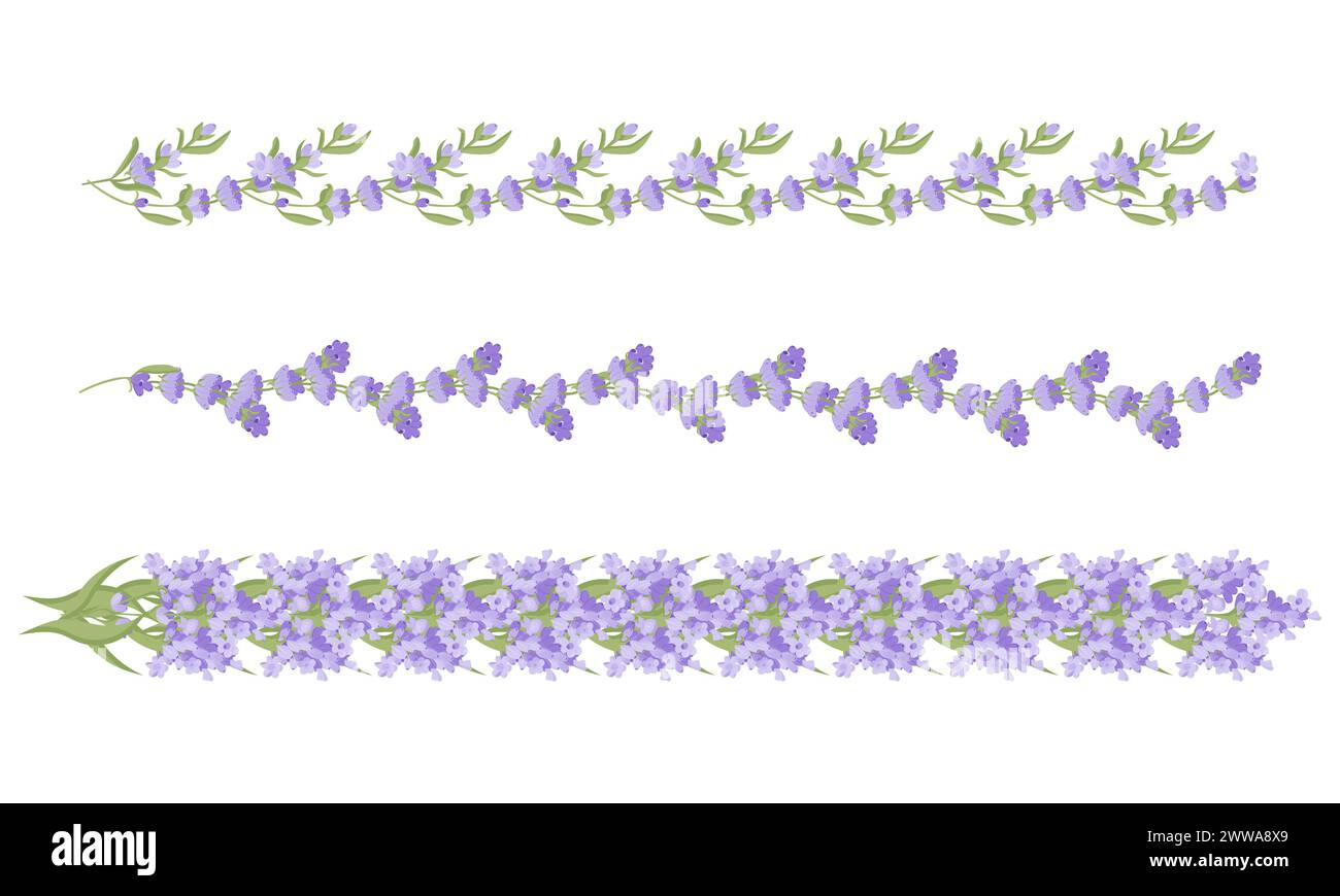 Set of decorative borders of lavender flowers for your design. Vector ...