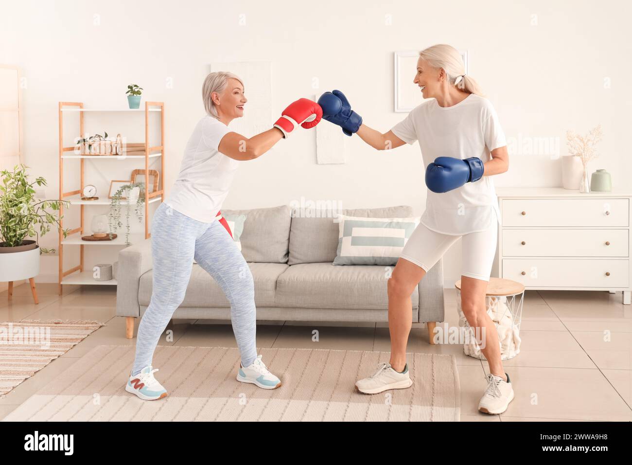 Mature female friends with boxing gloves training at home Stock Photo ...