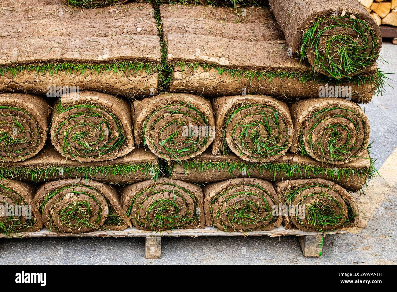 Rolls of Sod Turf on display for sale Stock Photo - Alamy