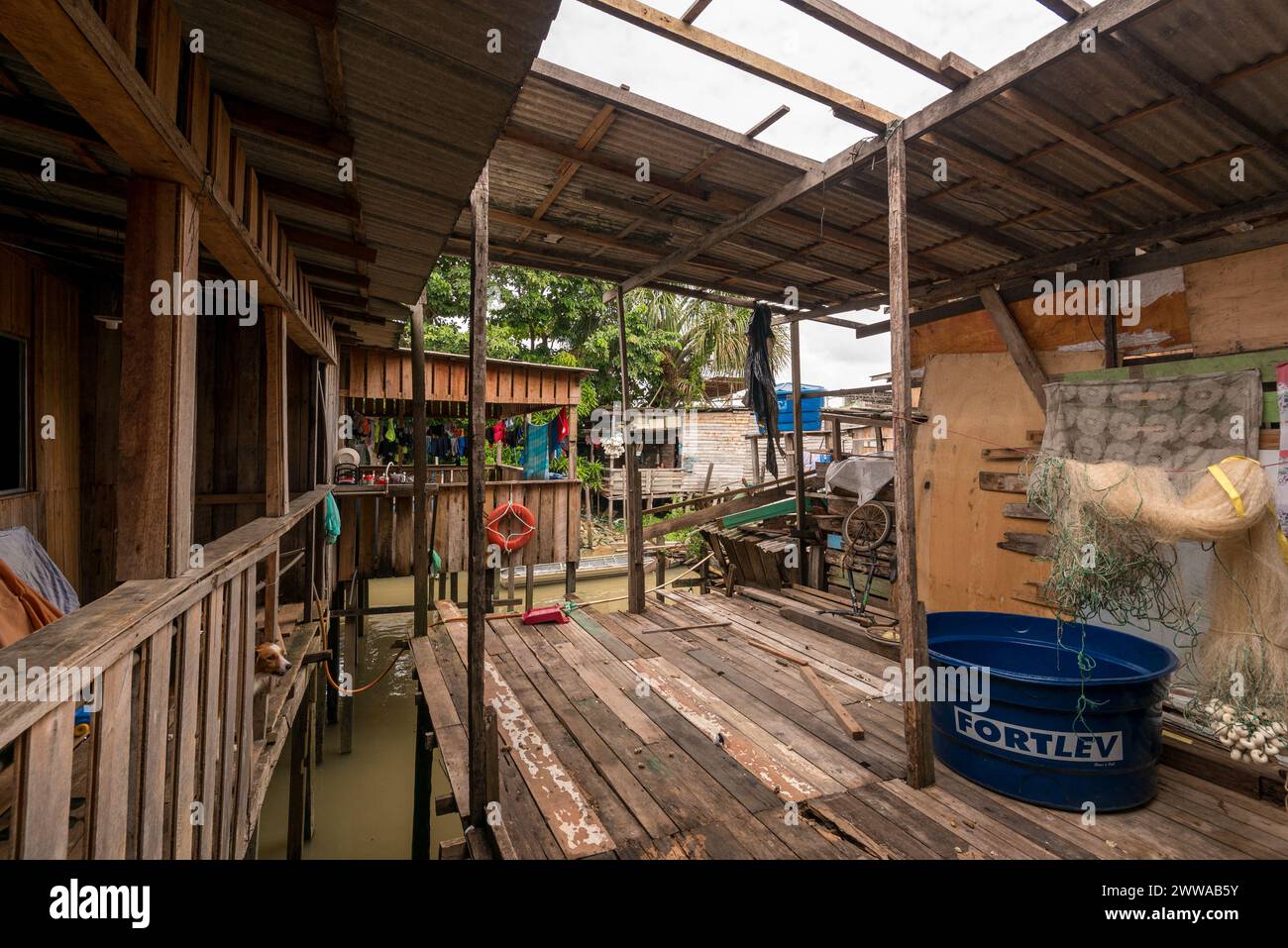 Wooden Houses of the Slum Built Above Water in Poor Neighborhood of ...