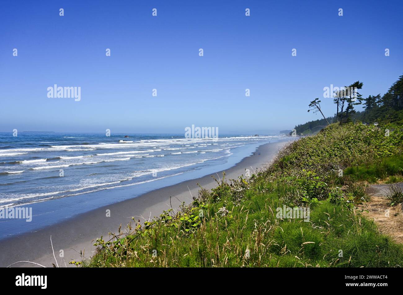 The beach at Kalaloch in Washington state, a part of the Olympic ...