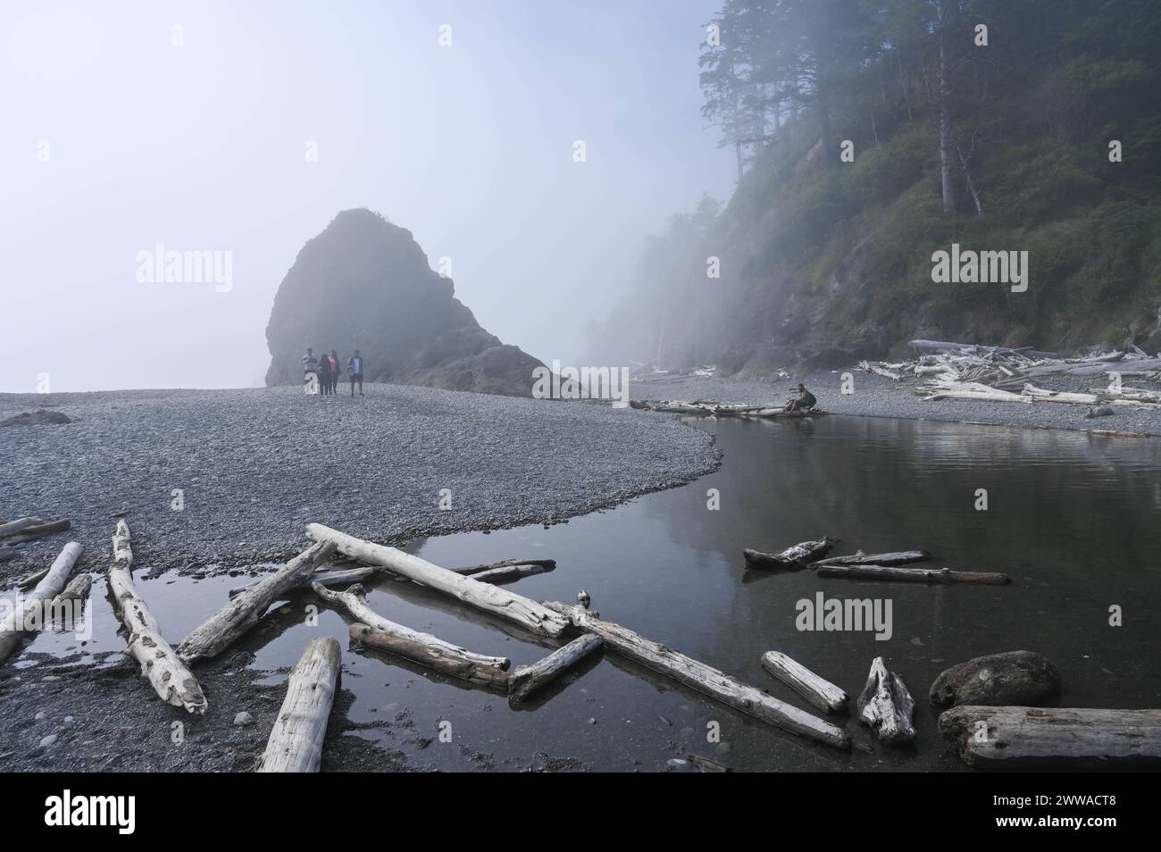 Ruby Beach in Washington state along the coast of the Pacific Ocean ...