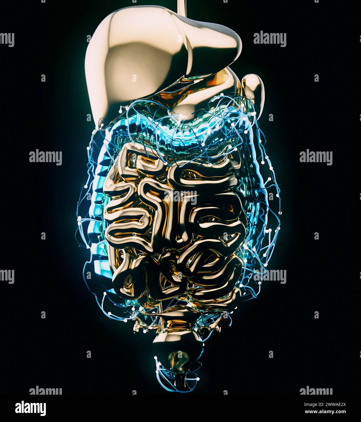 Large intestine, conceptual illustration Stock Photo - Alamy