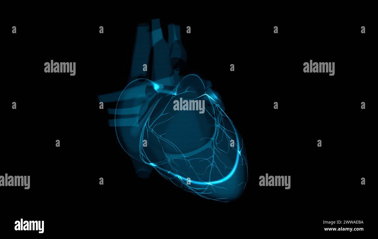 Heart scan hi-res stock photography and images - Alamy