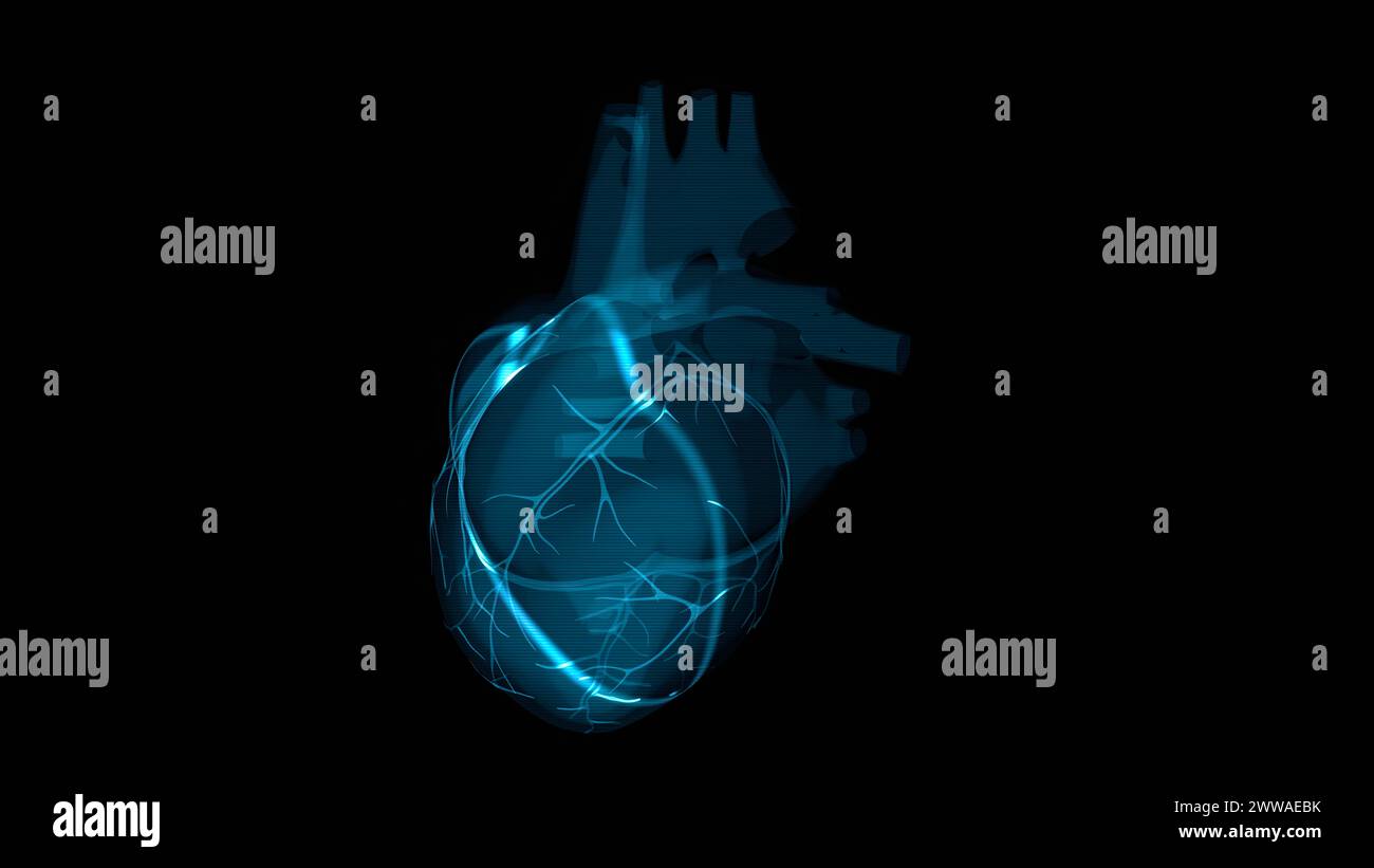 Heart scan, conceptual illustration Stock Photo - Alamy
