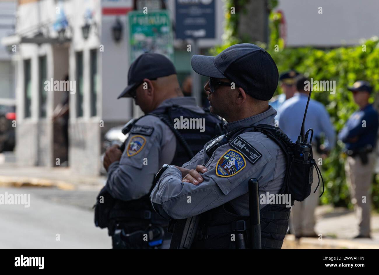 Palestine haiti flag hi-res stock photography and images - Alamy