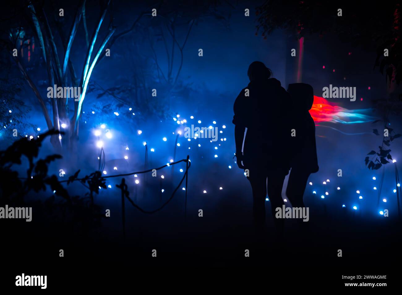 A couple enjoys a magical evening, with lights twinkling like stars in ...