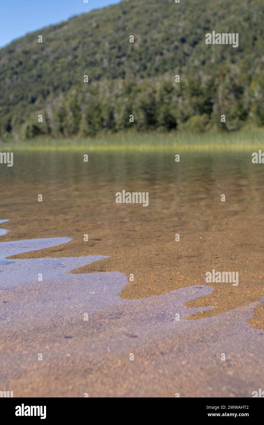 Vertical view of transparent lake water with brown ground, and forest ...