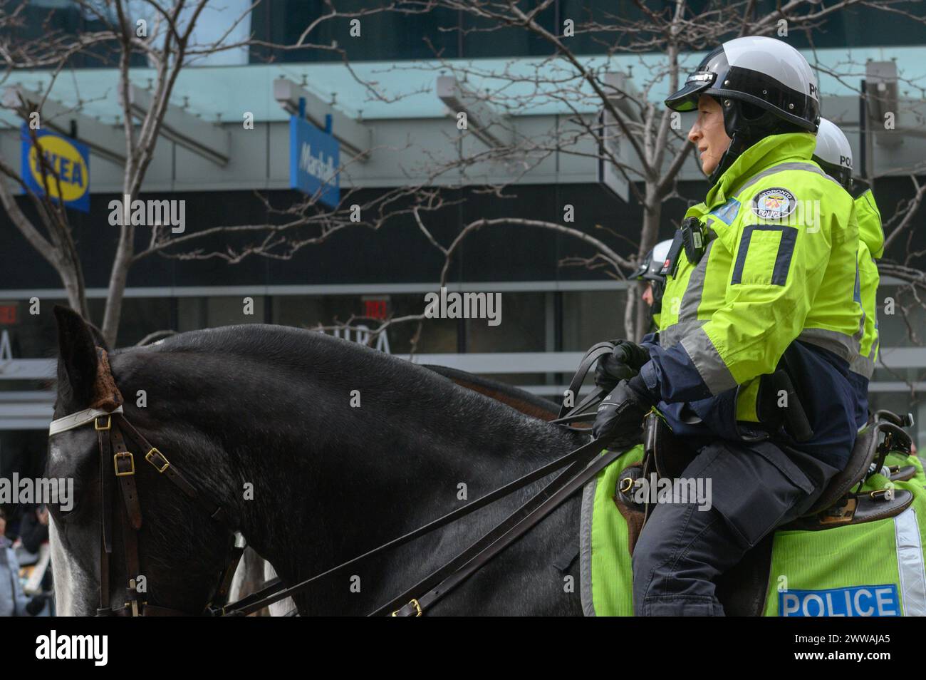 Toronto, ON, Canada - March 17, 2024: Mounted police patrol the streets ...