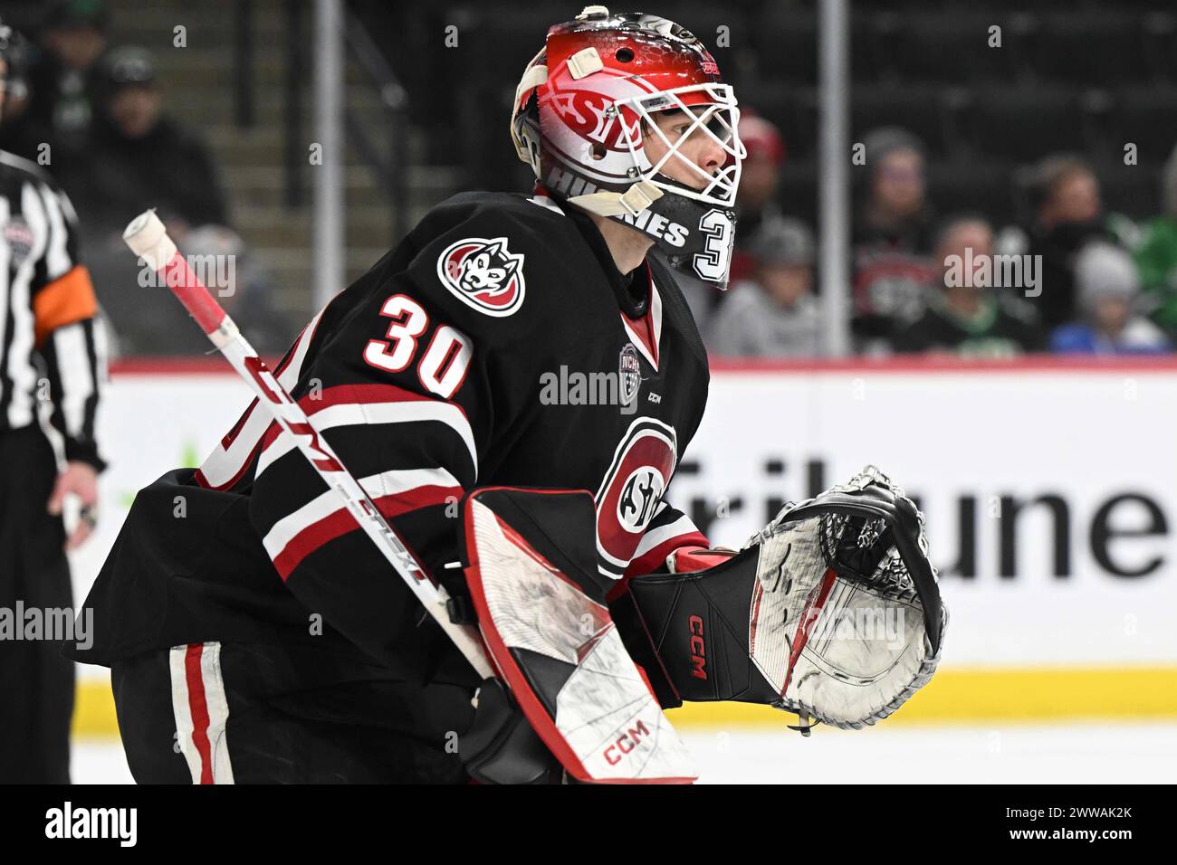 St. Cloud St. Huskies goaltender Isak Posch (30) watches for an ...