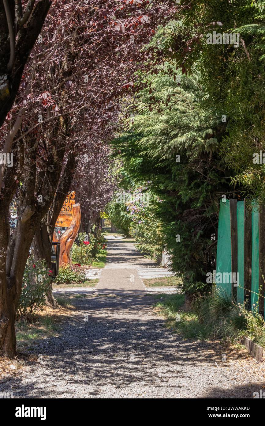 Vertical view of concrete sidewalk covered by the shadows of pink and ...