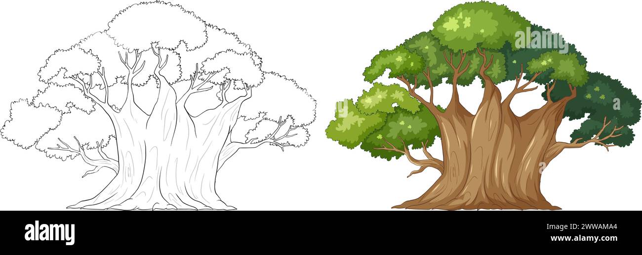 "Vector illustration of a tree, from outline to colored Stock Vector ...
