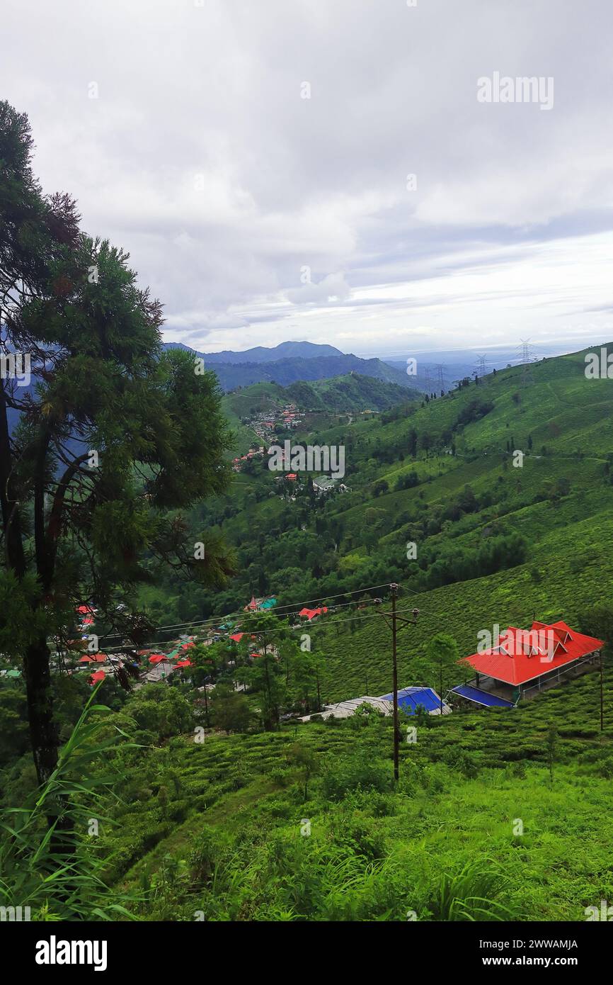 panorama of lush green himalaya mountain foothills and famous ...