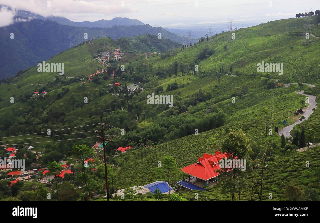 panorama of lush green himalaya mountain foothills and famous ...