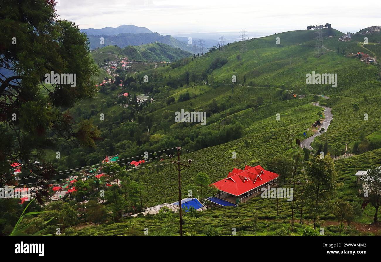 panorama of lush green himalaya mountain foothills and famous ...