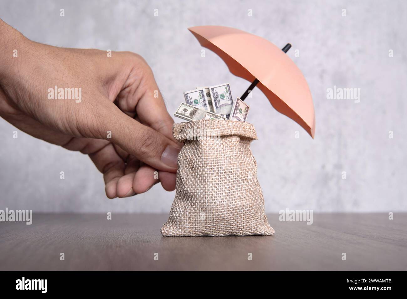 Hand holding umbrella protecting bag of money. Financial safety, income ...