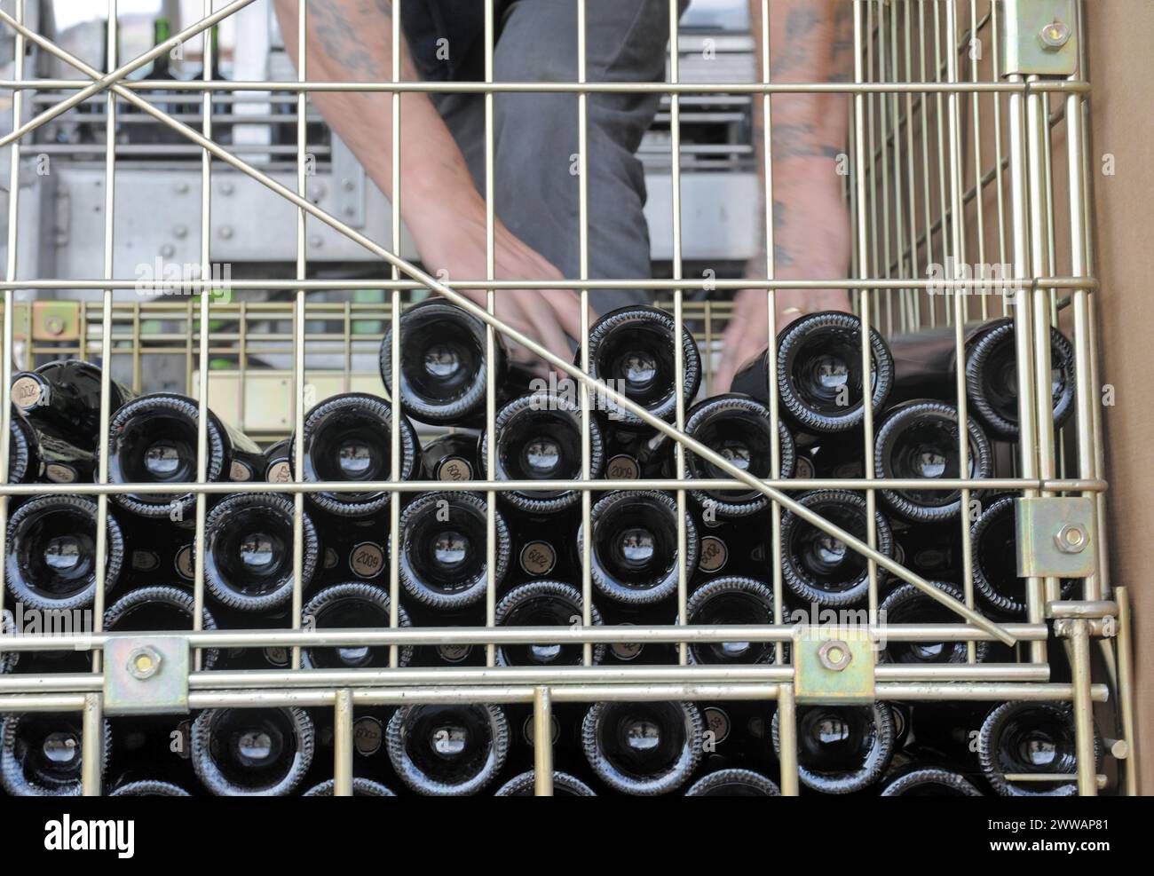 group of bottles of wine in a cooperative Stock Photo - Alamy