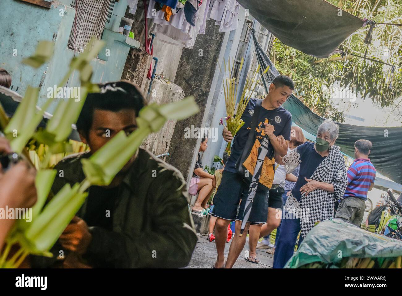 Antipolo City, Rizal, Philippines. 23rd Mar, 2024. People prepares palm ...