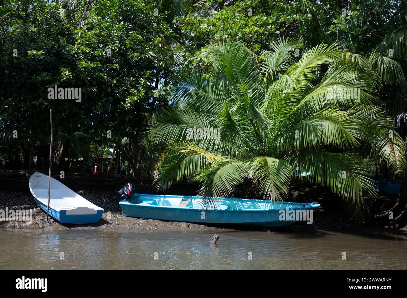 Fishing and tour boats line jungle canals Stock Photo - Alamy