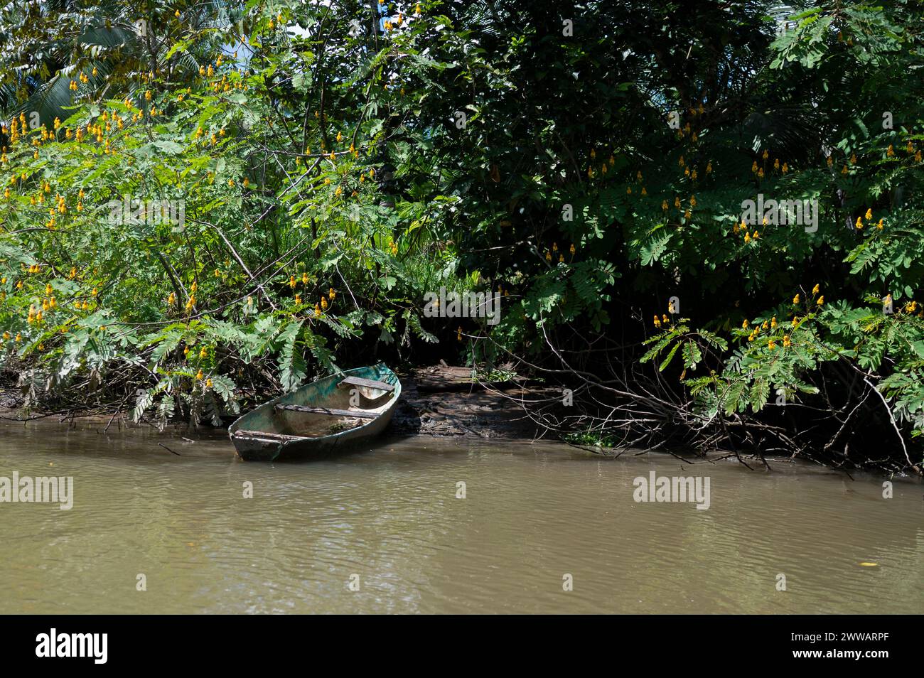 Fishing and tour boats line jungle canals Stock Photo - Alamy