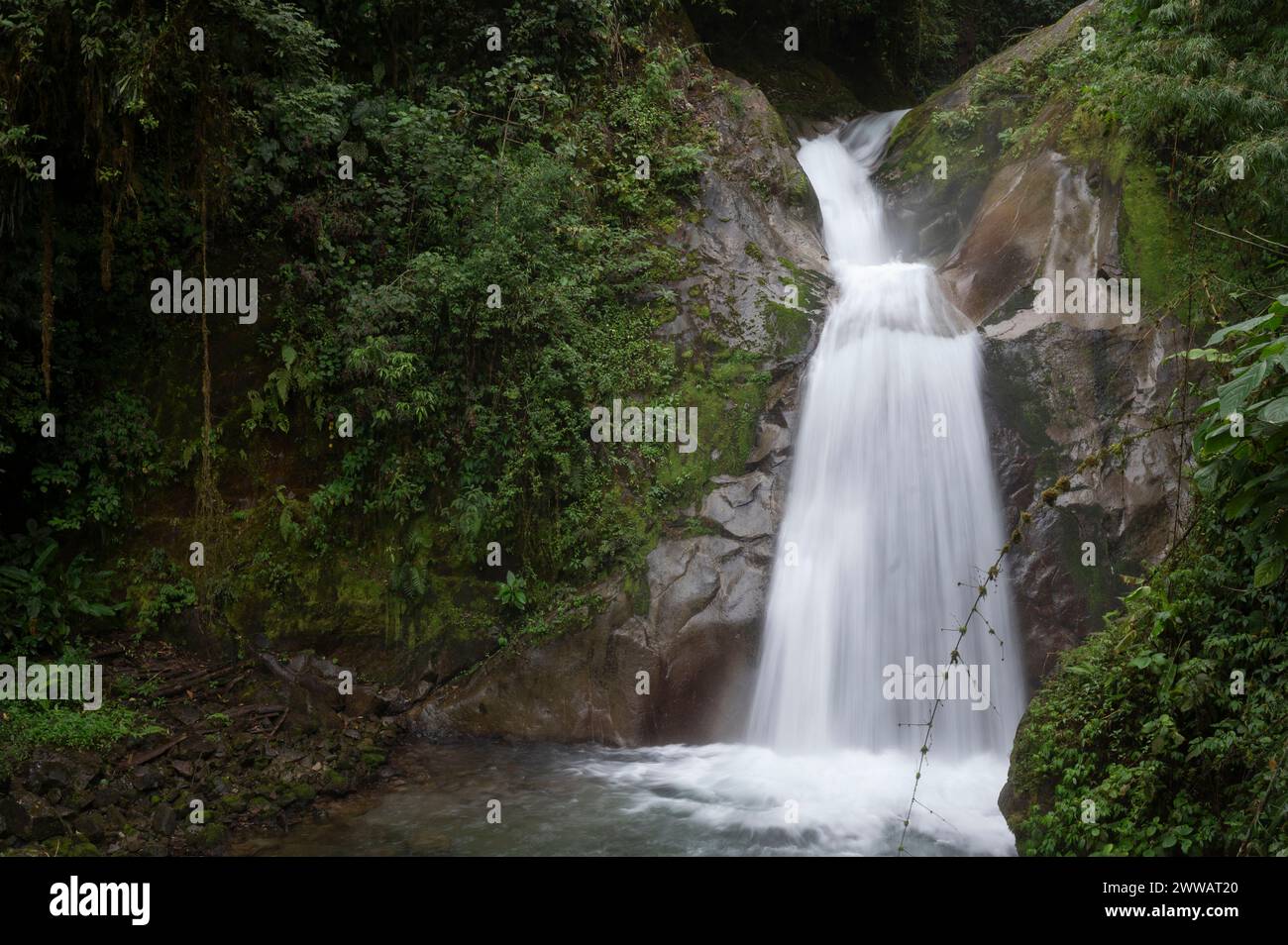 A long exposure of a waterfall cascades down a rocky jungle path Stock ...