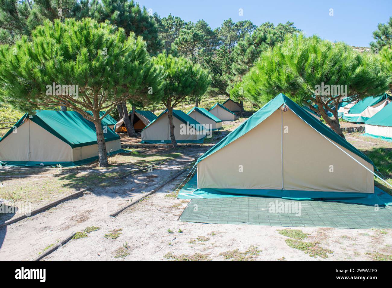 Tents Camping area, early morning. Panoramic landscape. Natural area ...
