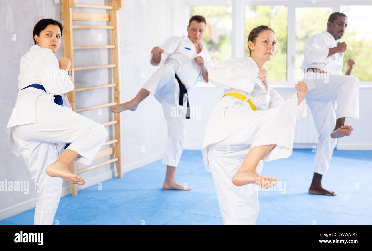 Group of multiethnic people training karate techniques Stock Photo - Alamy