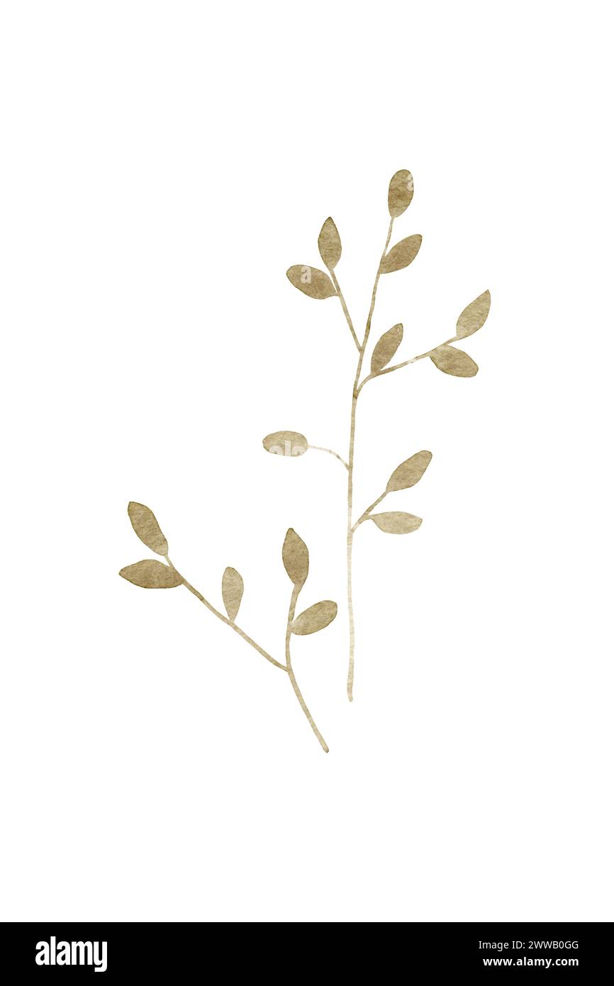 Simple abstract hand drawn watercolor greenery. Spring botanical flat ...