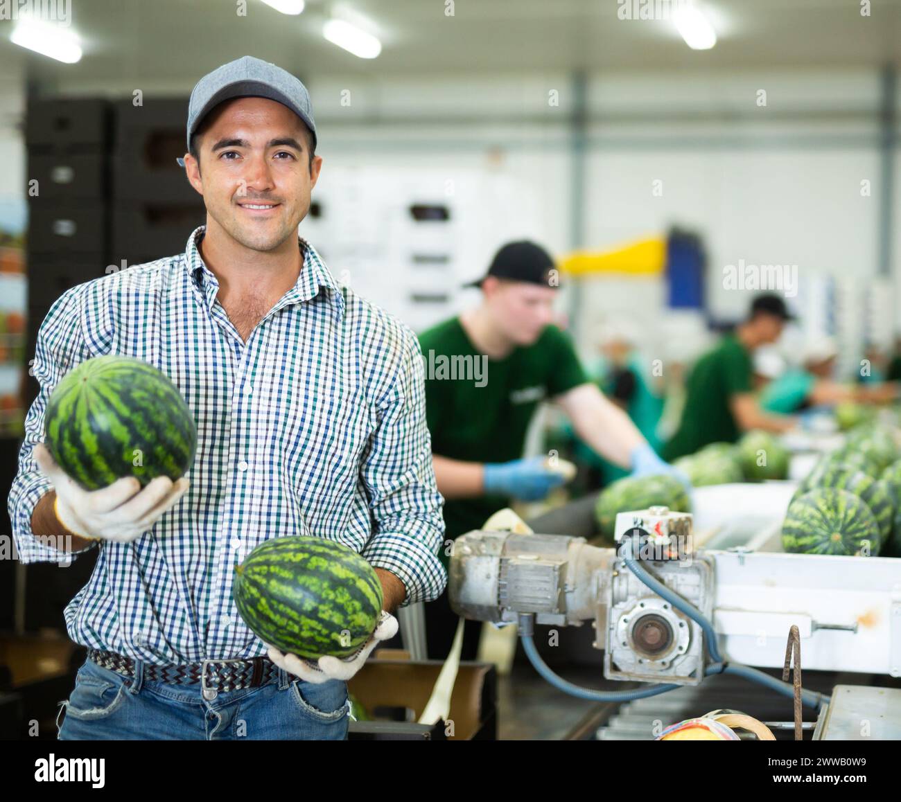 Cheerful worker standing with watermelons near sorting line at factory ...