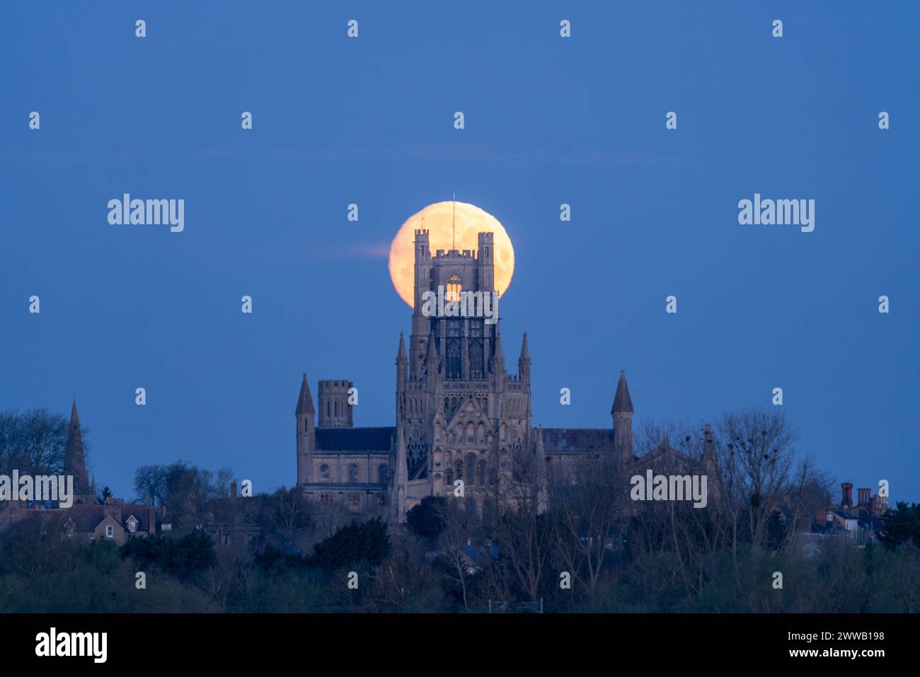 Crow and moon hi-res stock photography and images - Alamy