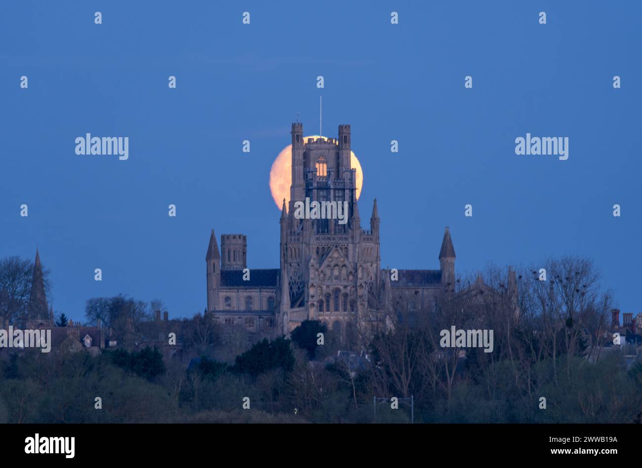 The sap moon hi-res stock photography and images - Alamy