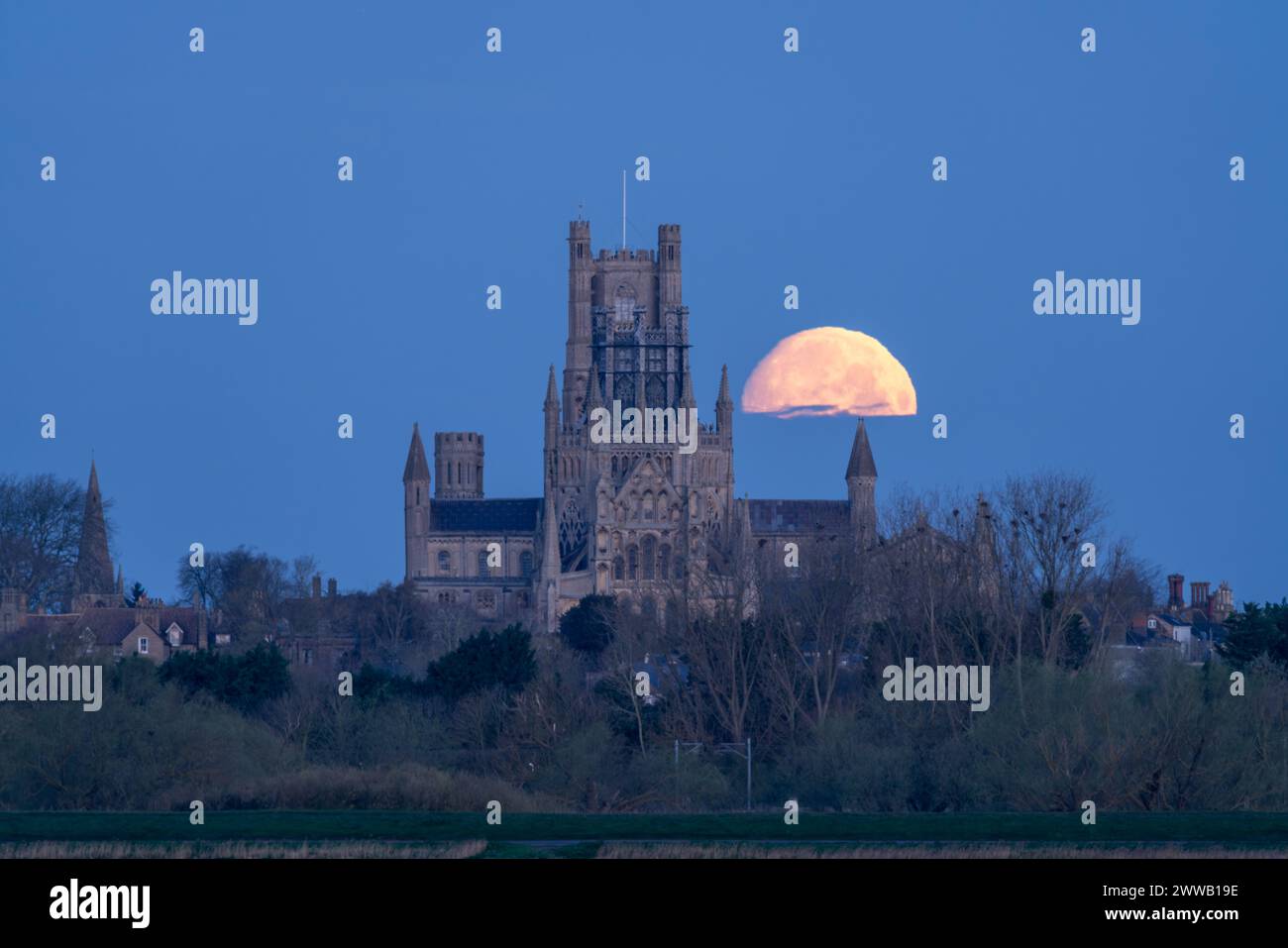 Crow and moon hi-res stock photography and images - Alamy