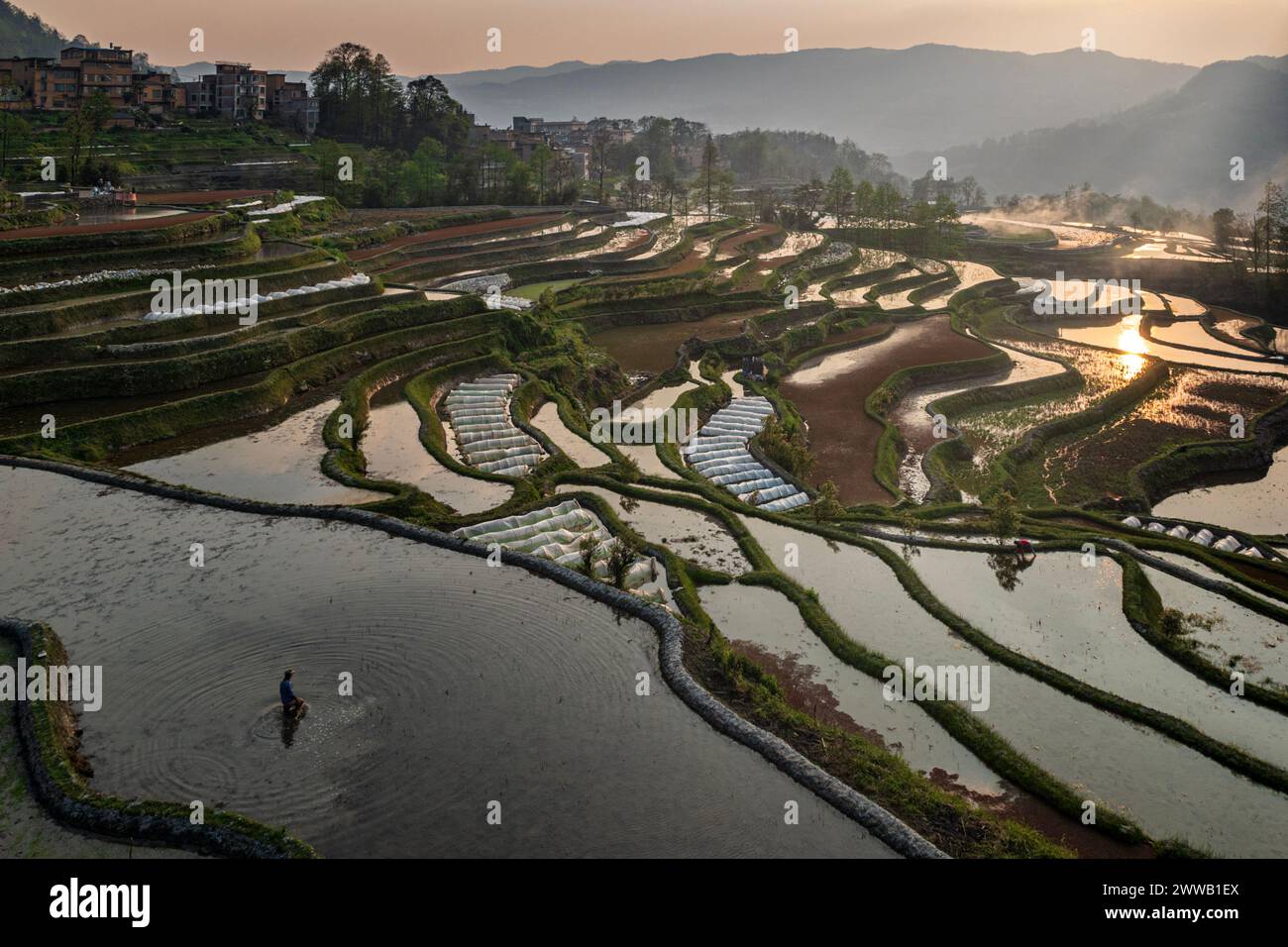 Aerial view of Yuanyang rice terraces filled with water in Yunnan ...